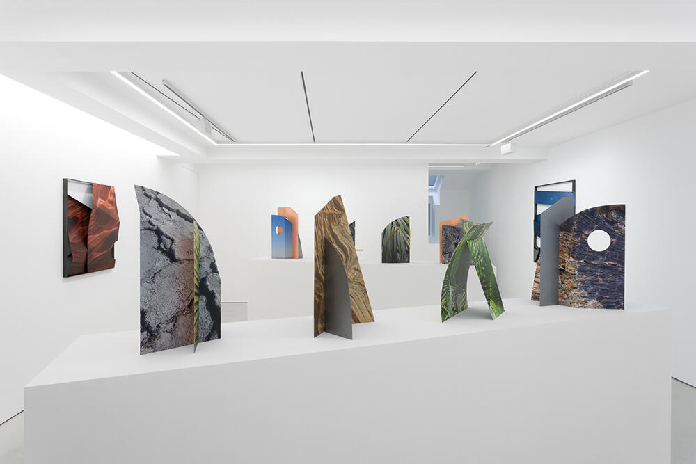 Letha Wilson | Grimm | Galleries | Frieze